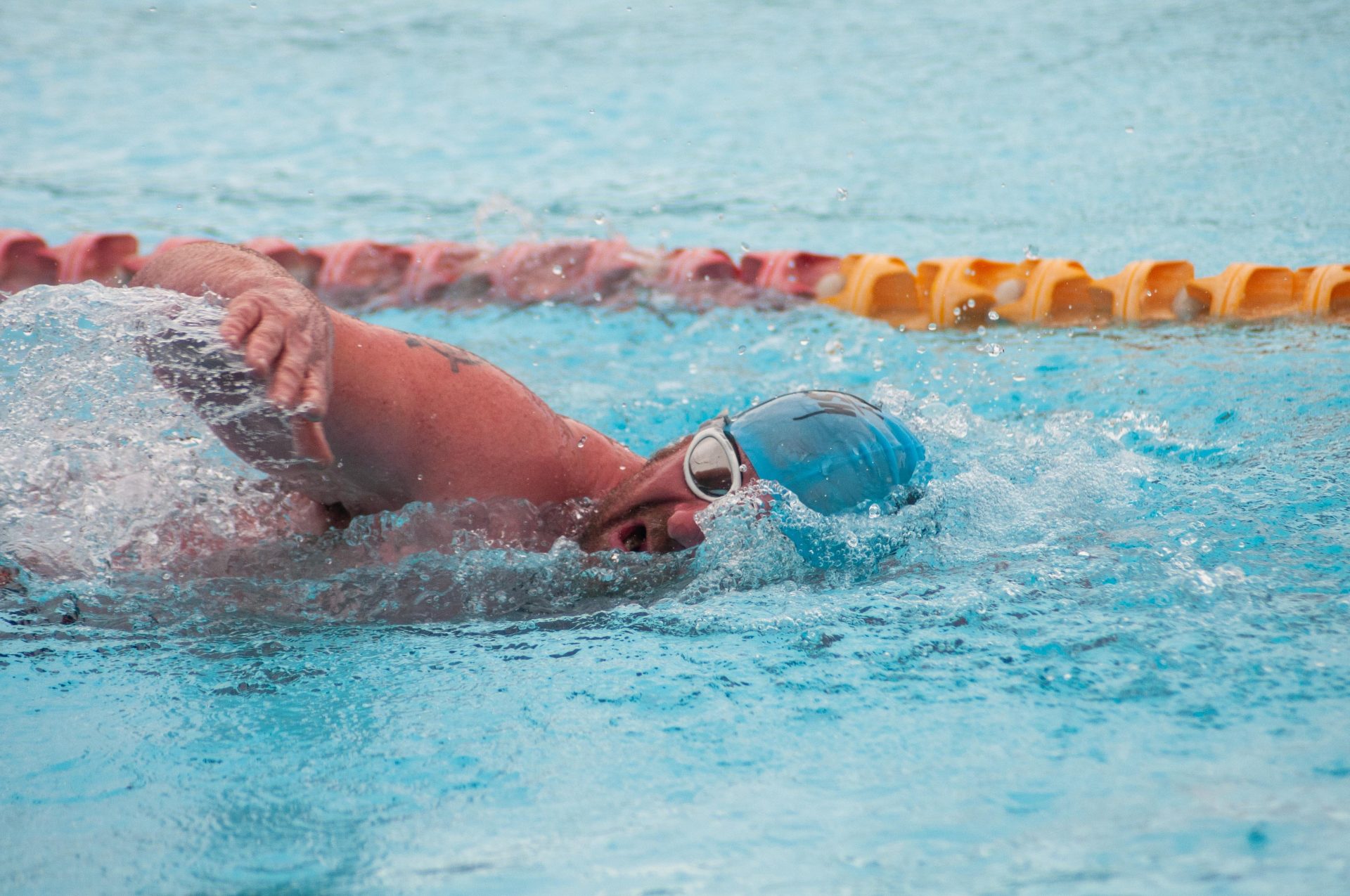 Ice swimmers take the plunge | The News