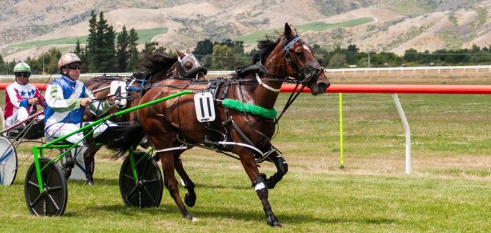 Summer fun for all at the racecourse | The News