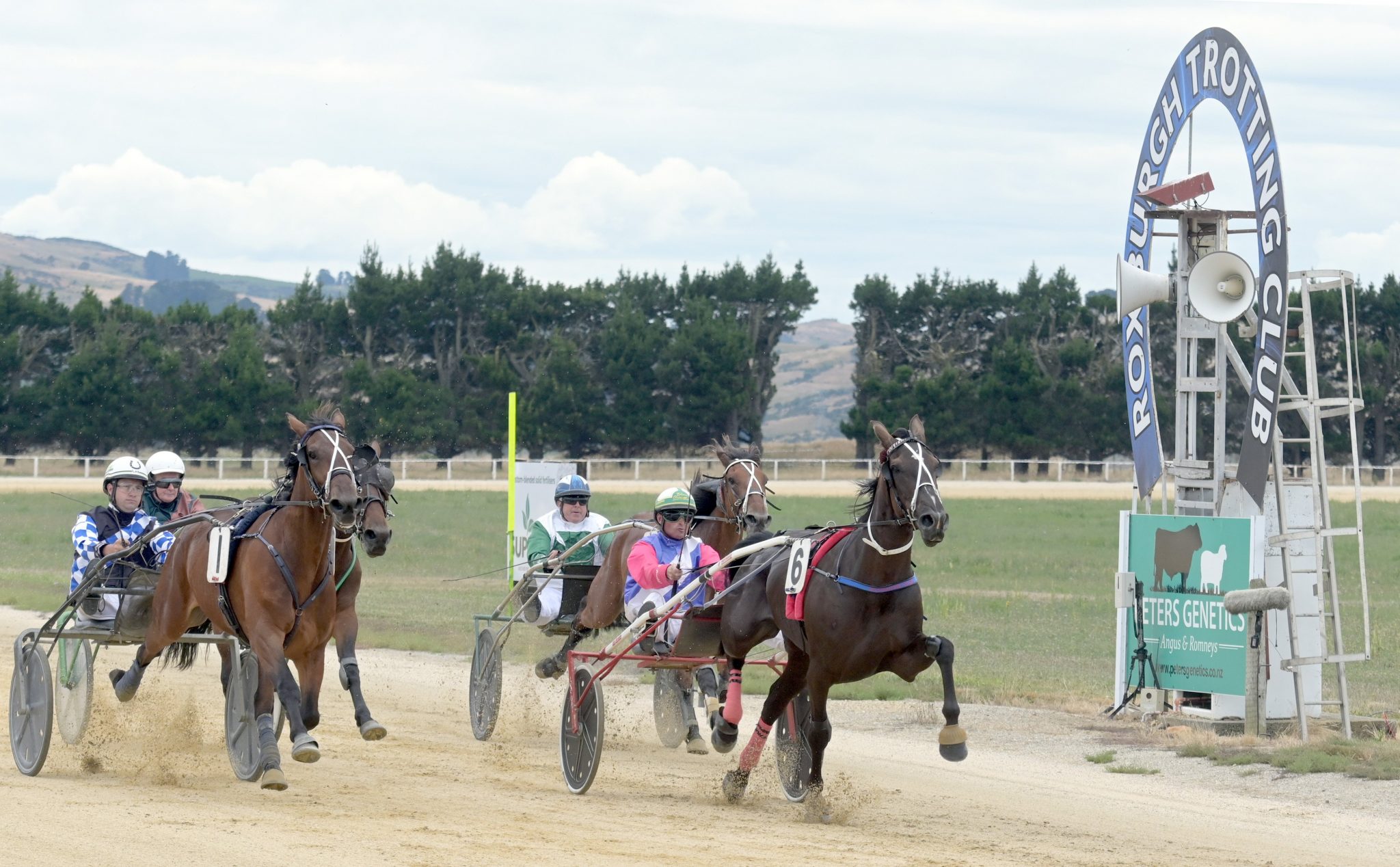 ‘Perfect day’ at family-friendly race meeting | The News