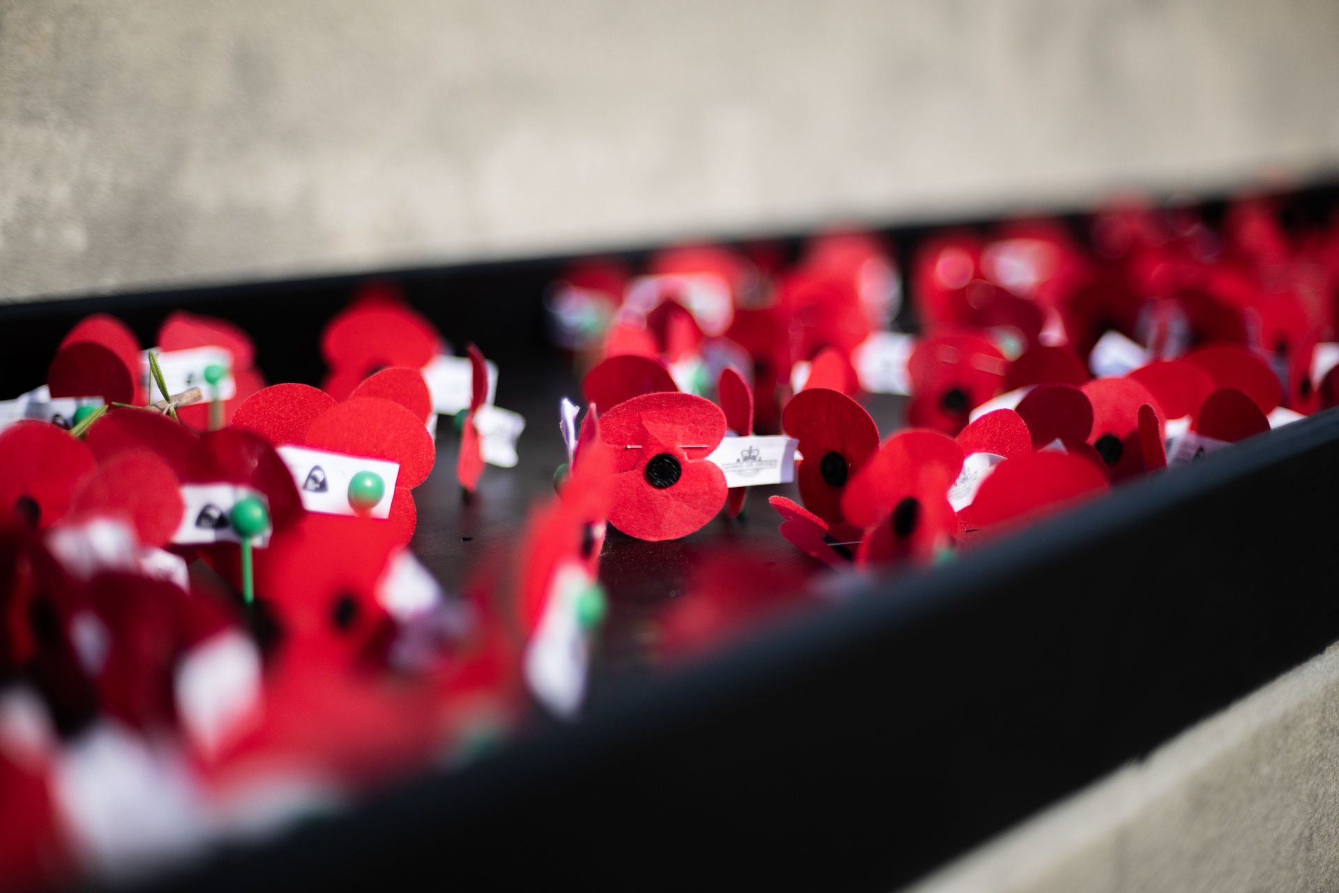 A day solemnly remembered | The News