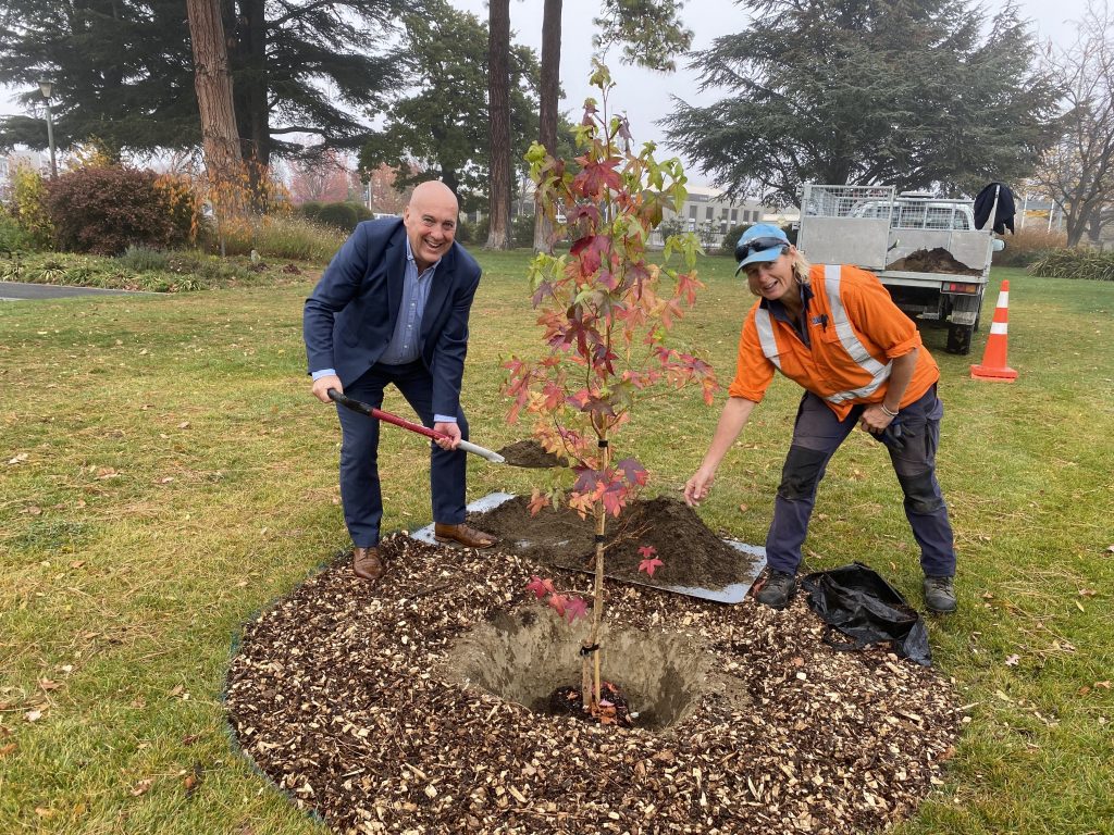 Royal roots | The News