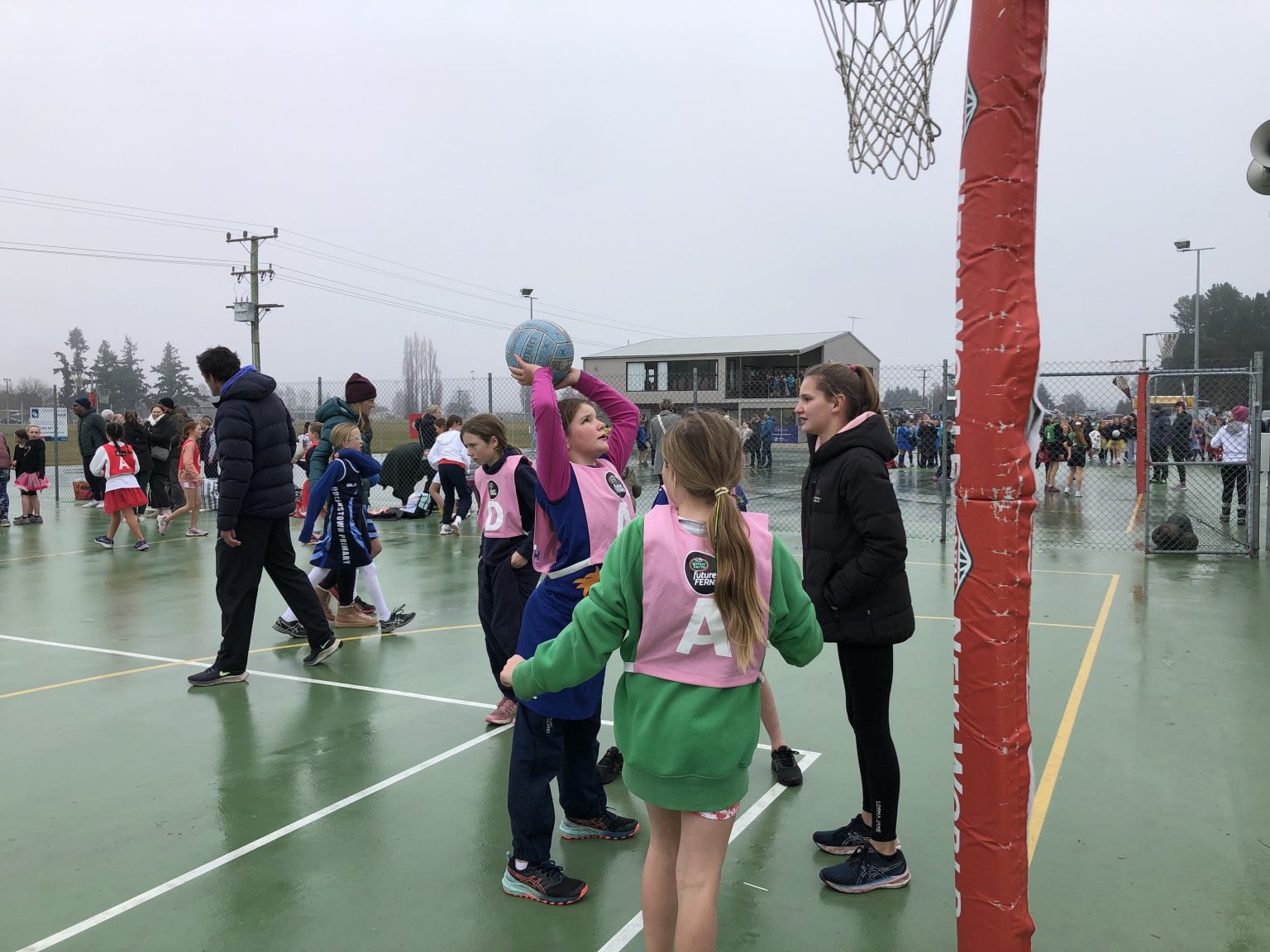 Bringing colour to courts | The News