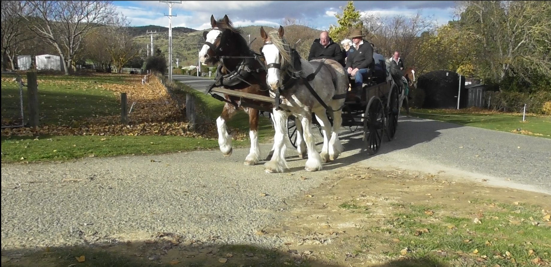 A horseman through and through | The News