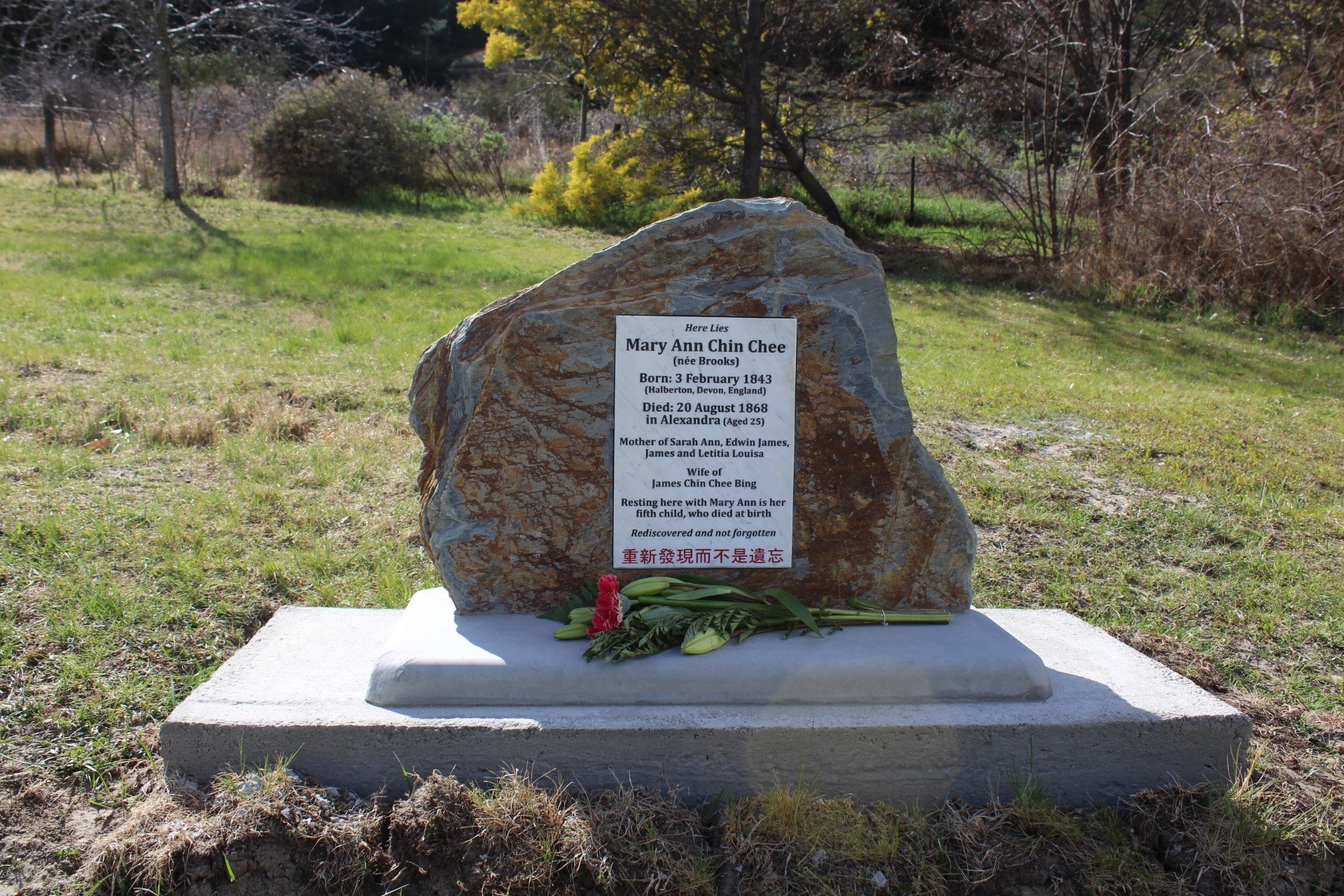 ‘Rediscovered and not forgotten’ | The News