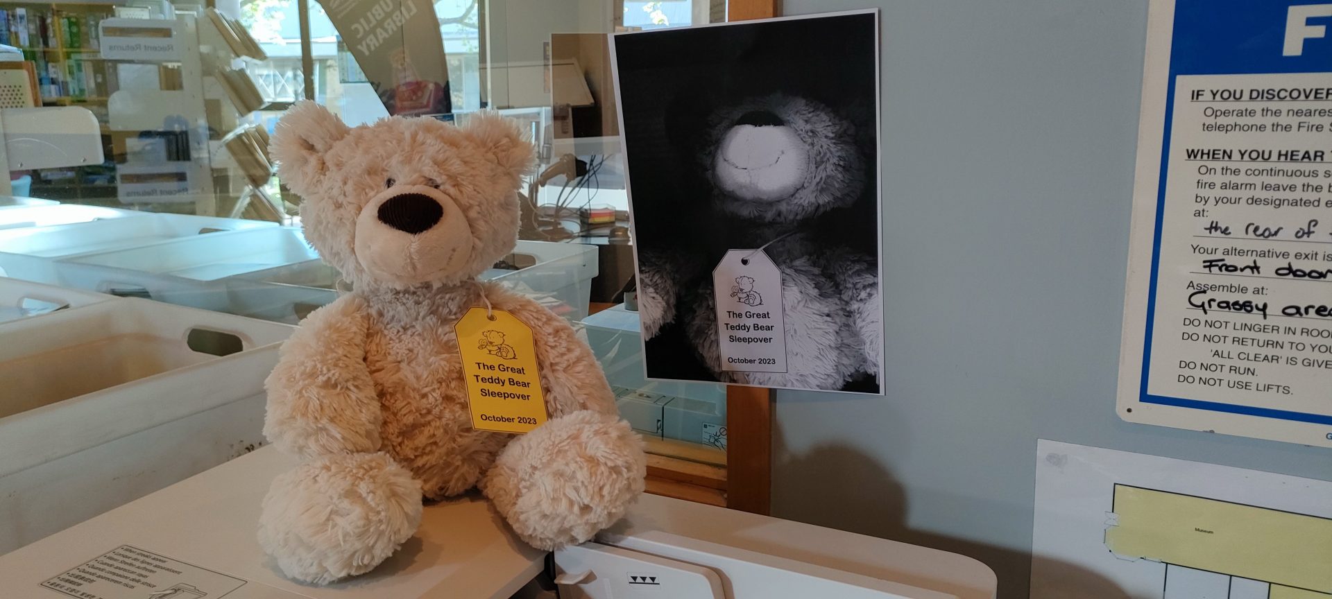 Teddy-cam documents exciting night | The News